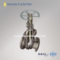 Carbon steel gate valve - Davan flowtek