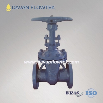 Carbon steel gate valve - Davan flowtek